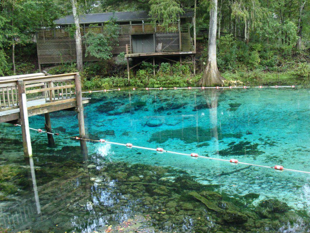 Florida Spring Wallpapers - Top Free Florida Spring Backgrounds ...