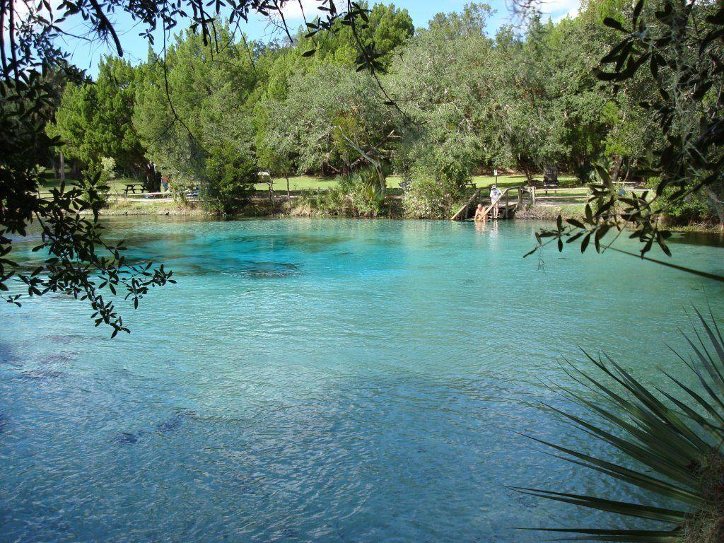 Florida Spring Wallpapers - Top Free Florida Spring Backgrounds ...