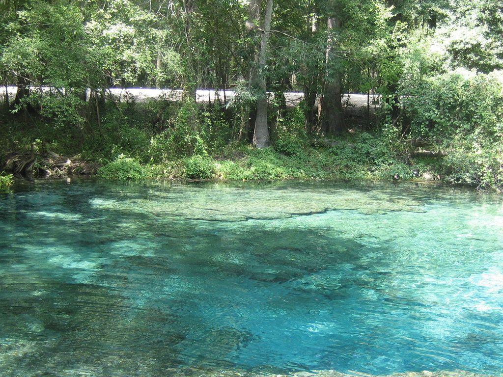 Florida Spring Wallpapers - Top Free Florida Spring Backgrounds ...