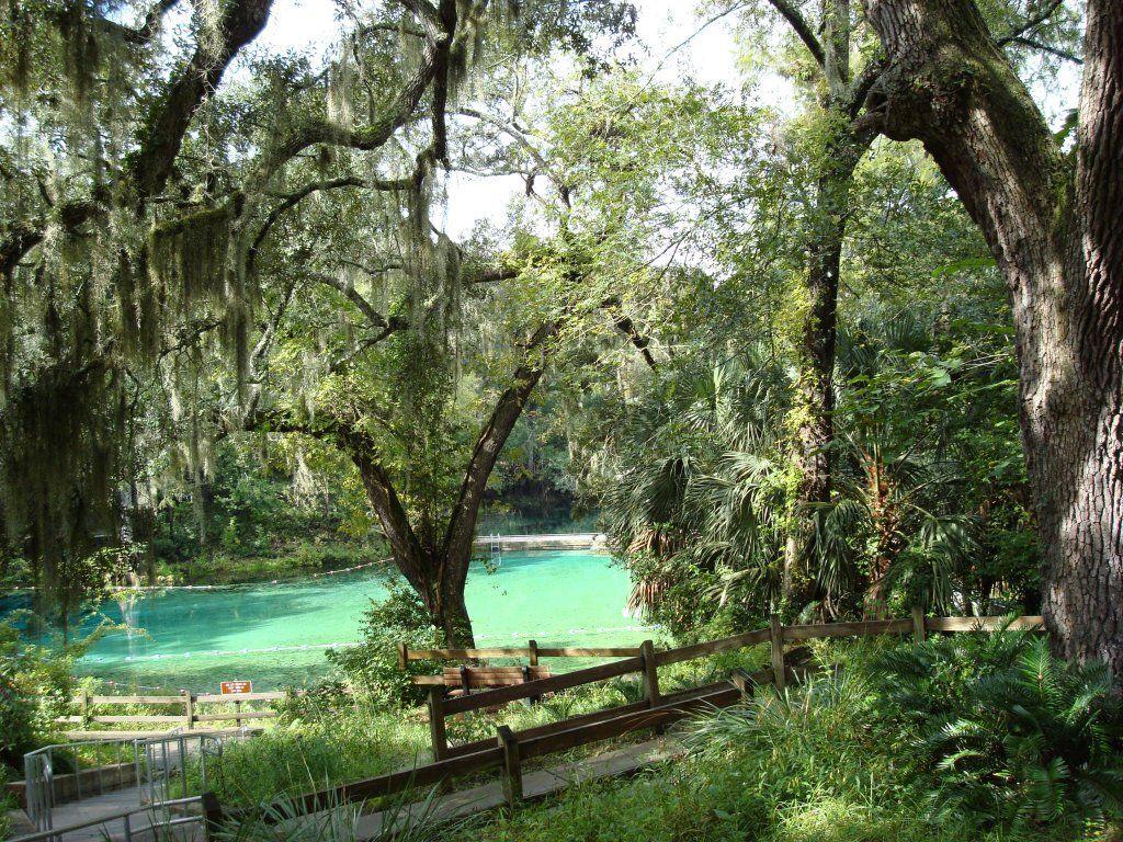 Florida Spring Wallpapers - Top Free Florida Spring Backgrounds ...