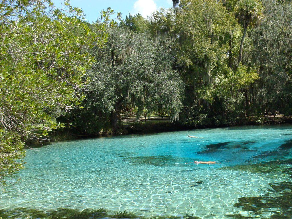 Florida Spring Wallpapers - Top Free Florida Spring Backgrounds ...