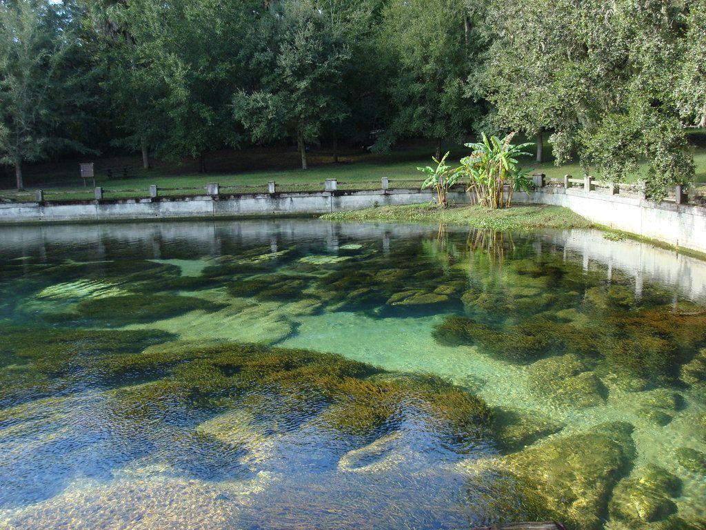 Florida Spring Wallpapers - Top Free Florida Spring Backgrounds ...