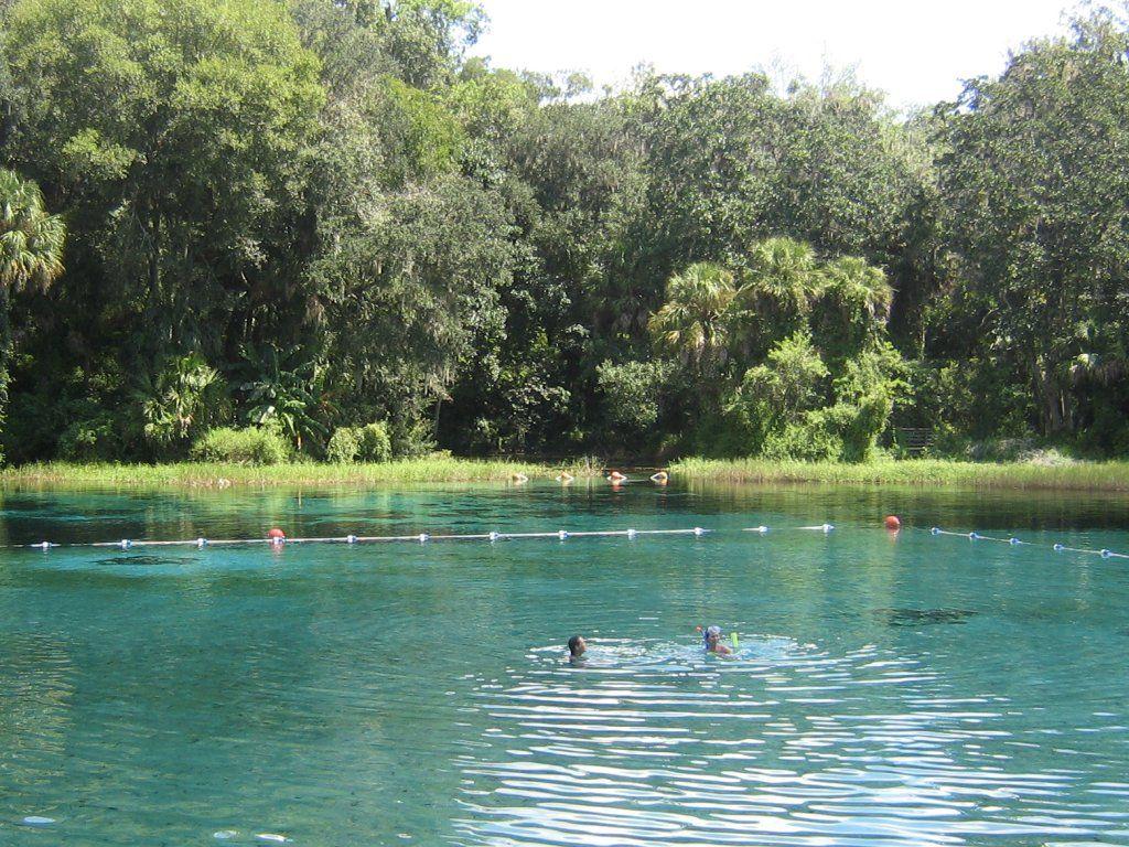 Florida Spring Wallpapers - Top Free Florida Spring Backgrounds ...