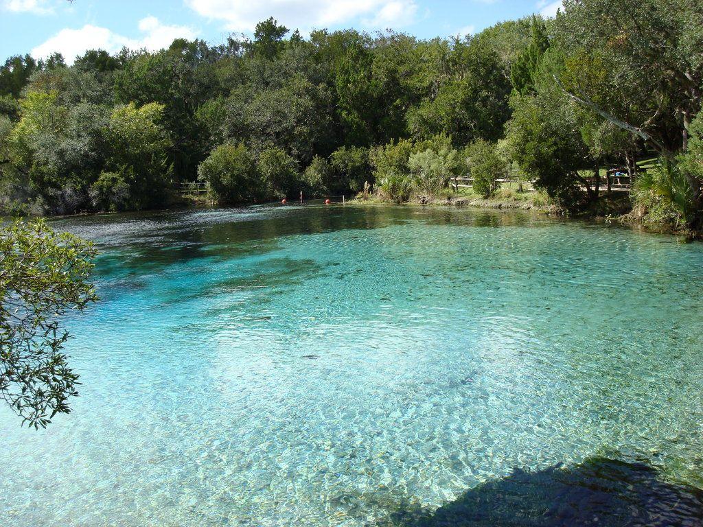 Florida Spring Wallpapers - Top Free Florida Spring Backgrounds ...