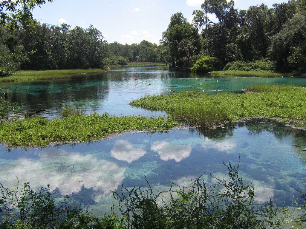 Florida Spring Wallpapers - Top Free Florida Spring Backgrounds ...