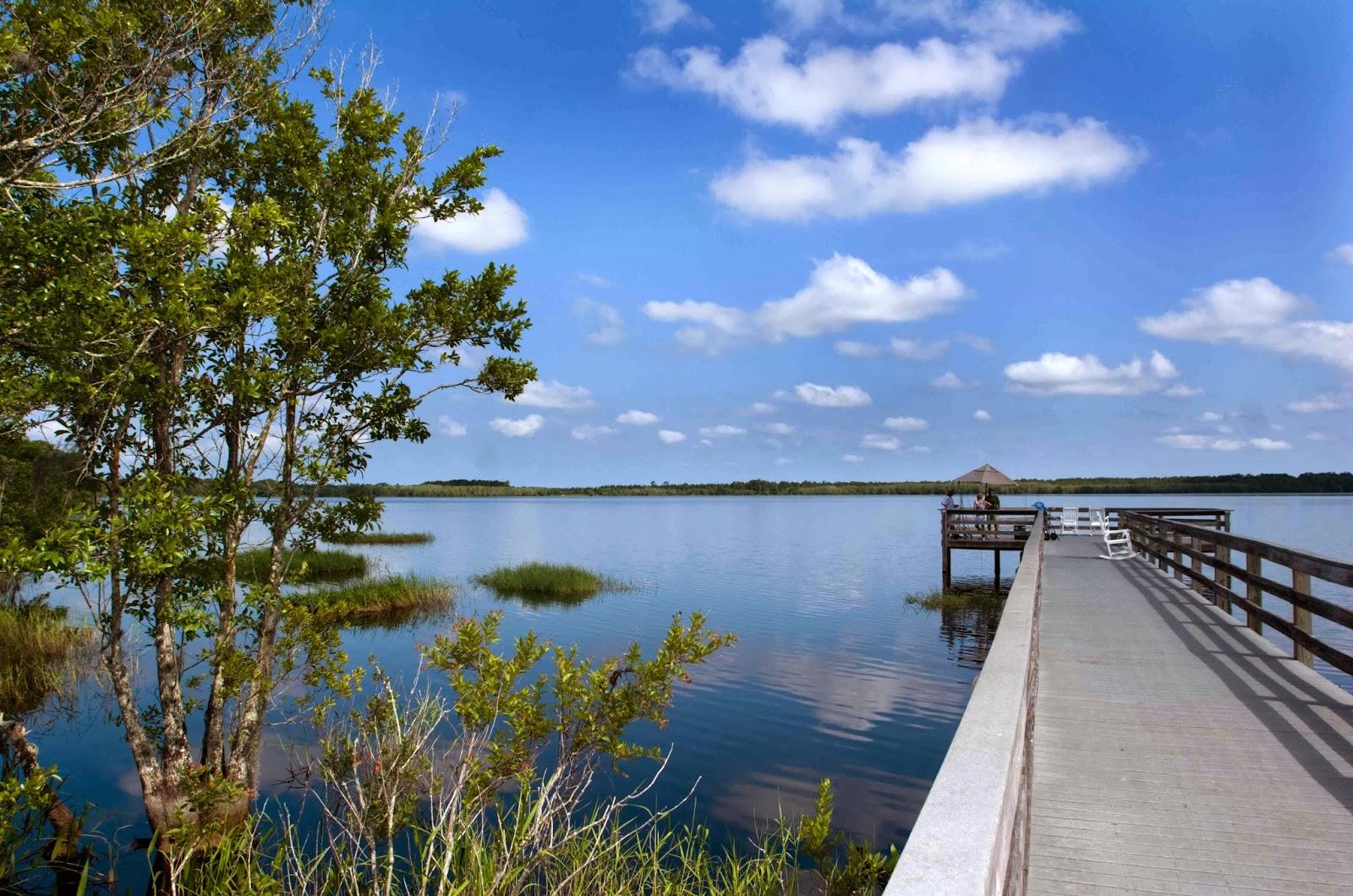 Florida Spring Wallpapers - Top Free Florida Spring Backgrounds ...