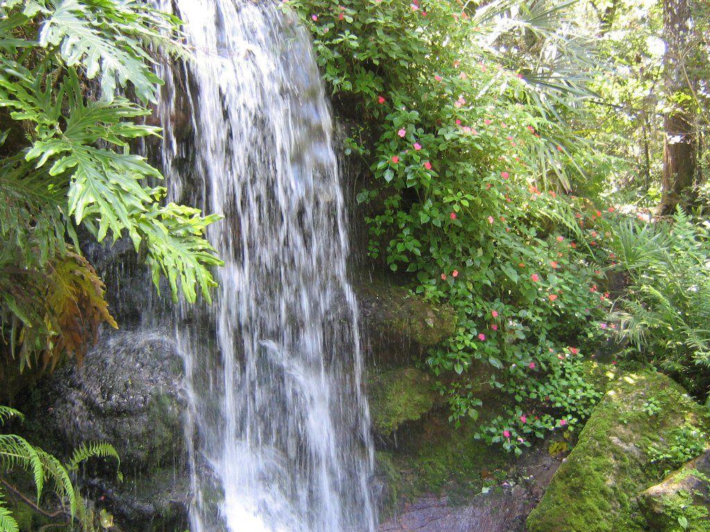 Florida Landscape Wallpapers - Top Free Florida Landscape Backgrounds ...