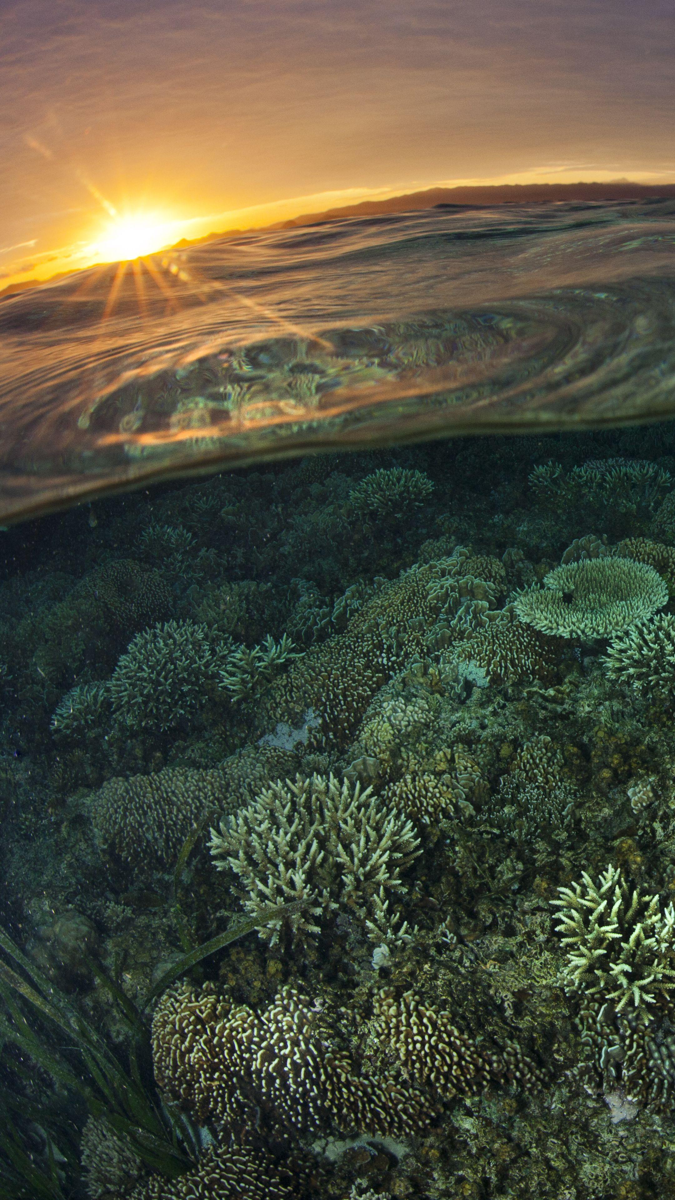 Half Underwater Wallpapers - Top Free Half Underwater Backgrounds ...