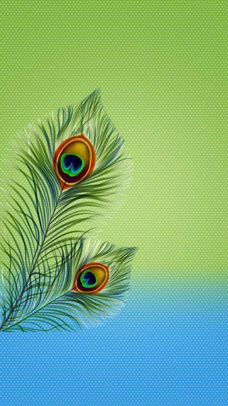 Abstract Peacock Wallpapers Top Free Abstract Peacock Backgrounds Wallpaperaccess