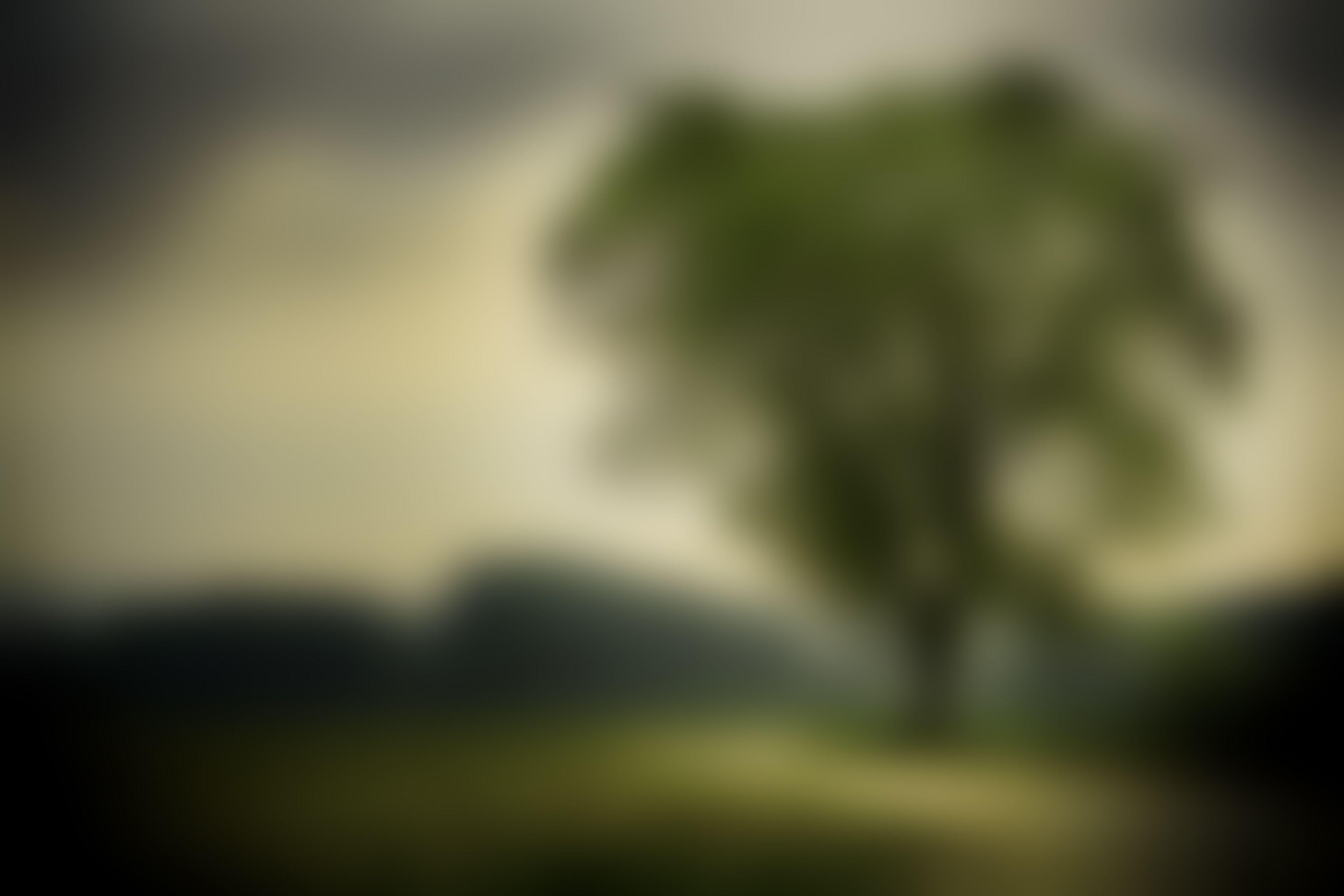 Blurry Nature Wallpapers - Top Free Blurry Nature Backgrounds ...