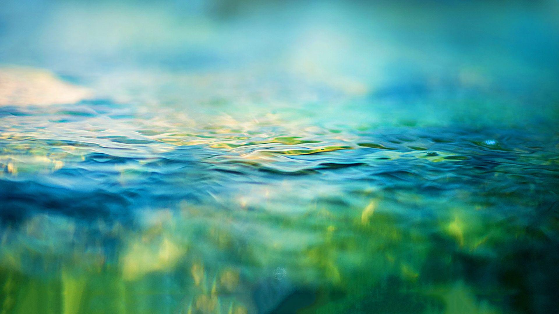 Blurry Nature Wallpapers - Top Free Blurry Nature Backgrounds ...