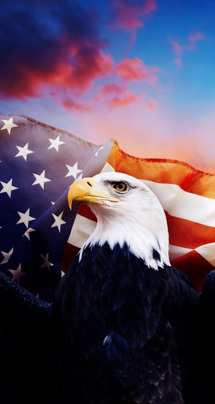 Cool USA Flag Eagle Wallpapers - Top Free Cool USA Flag Eagle Backgrounds - WallpaperAccess