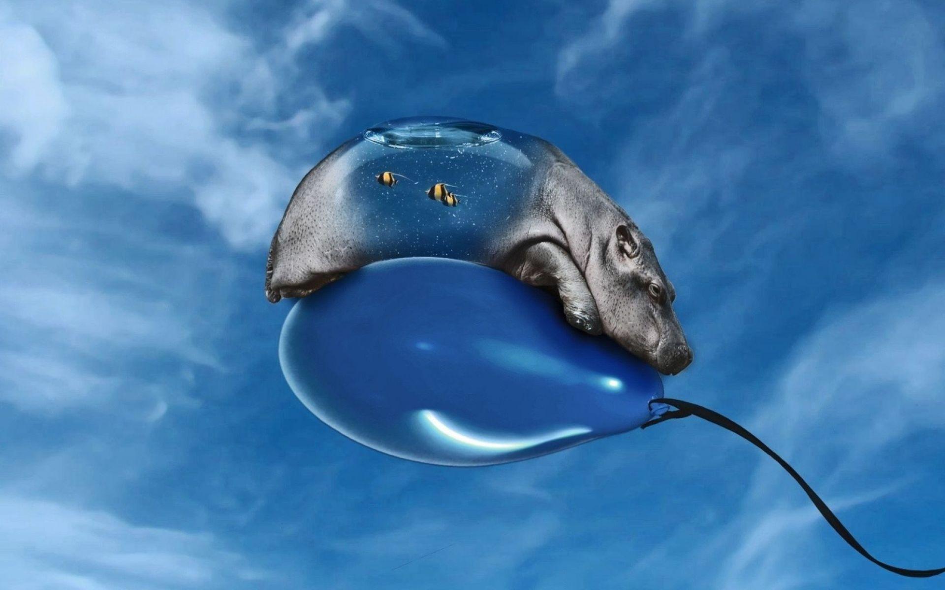 3D Dog Wallpapers - Top Free 3D Dog Backgrounds - WallpaperAccess