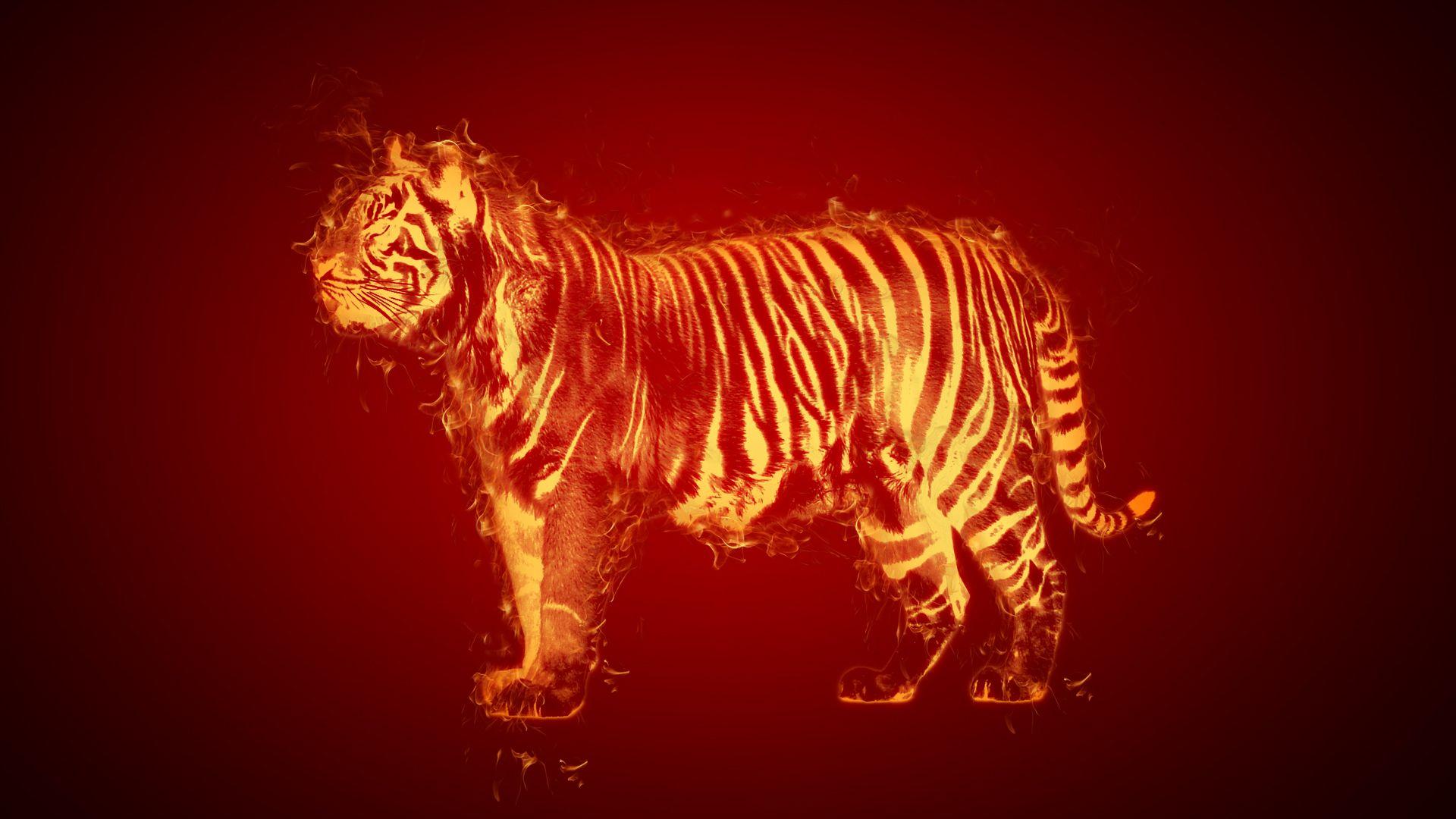 Big Tiger Wallpapers - Top Free Big Tiger Backgrounds - WallpaperAccess