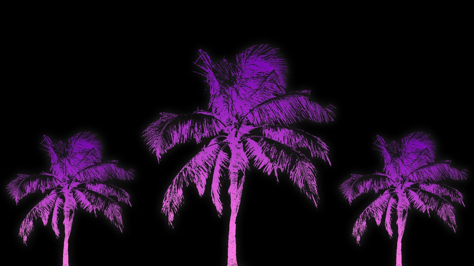 Purple Palm Tree Wallpapers - Top Free Purple Palm Tree Backgrounds ...