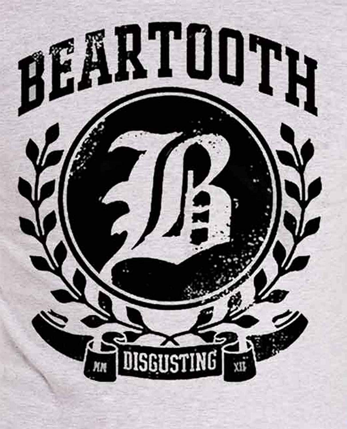 Beartooth Wallpapers - Top Free Beartooth Backgrounds - WallpaperAccess