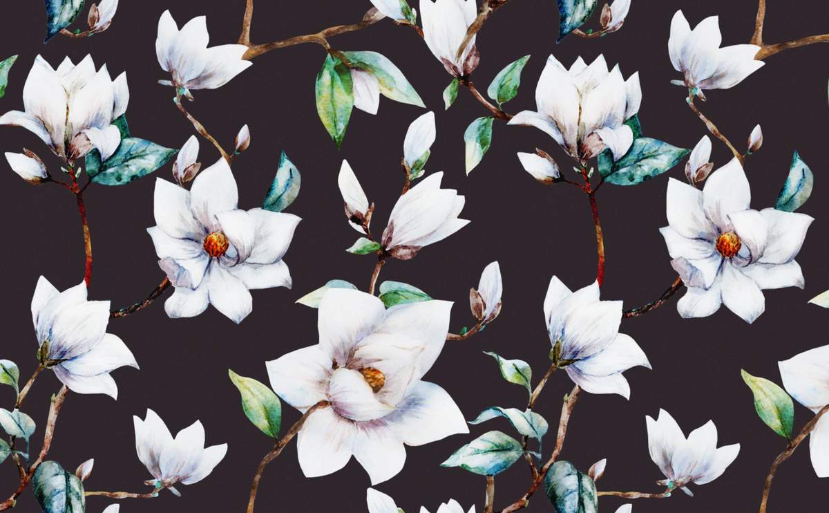 Magnolia Wallpapers - Top Free Magnolia Backgrounds - WallpaperAccess