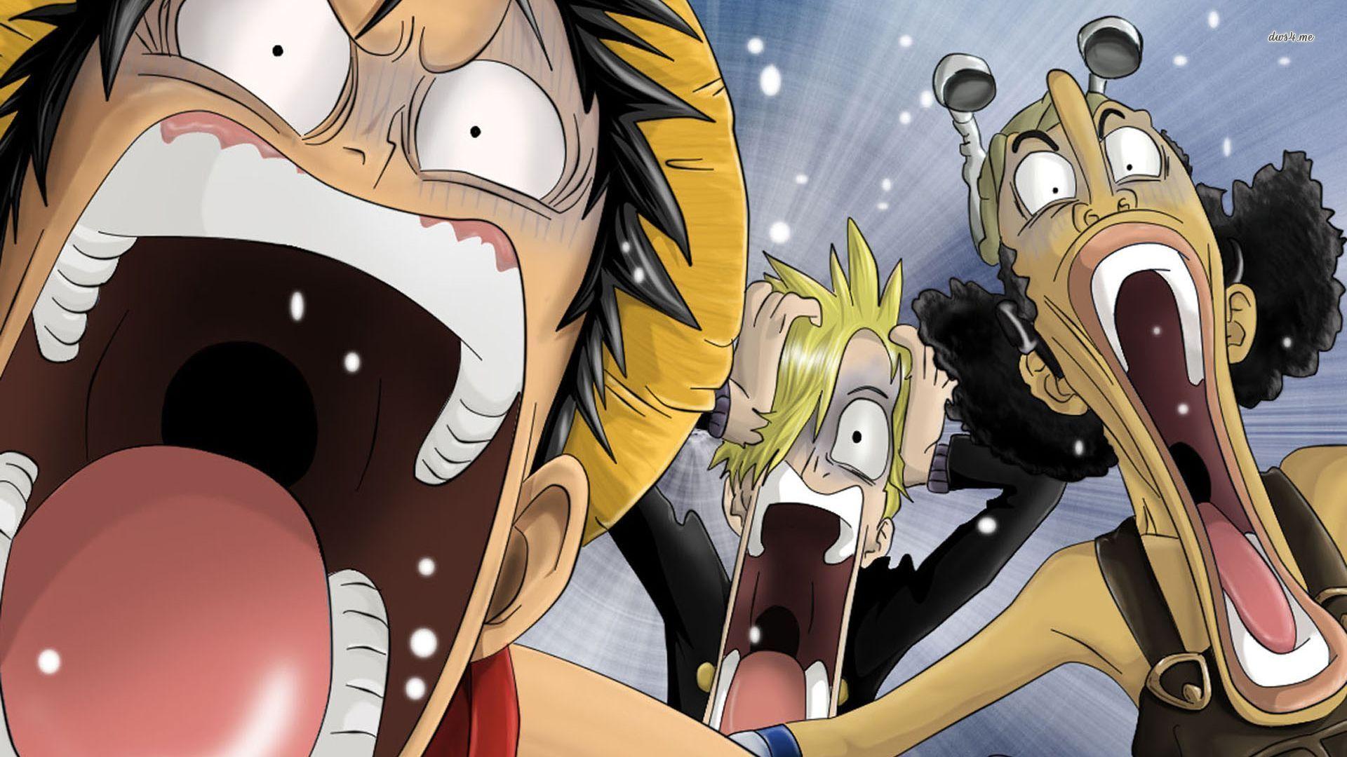 One Piece Funny Wallpapers - Top Free One Piece Funny Backgrounds ...