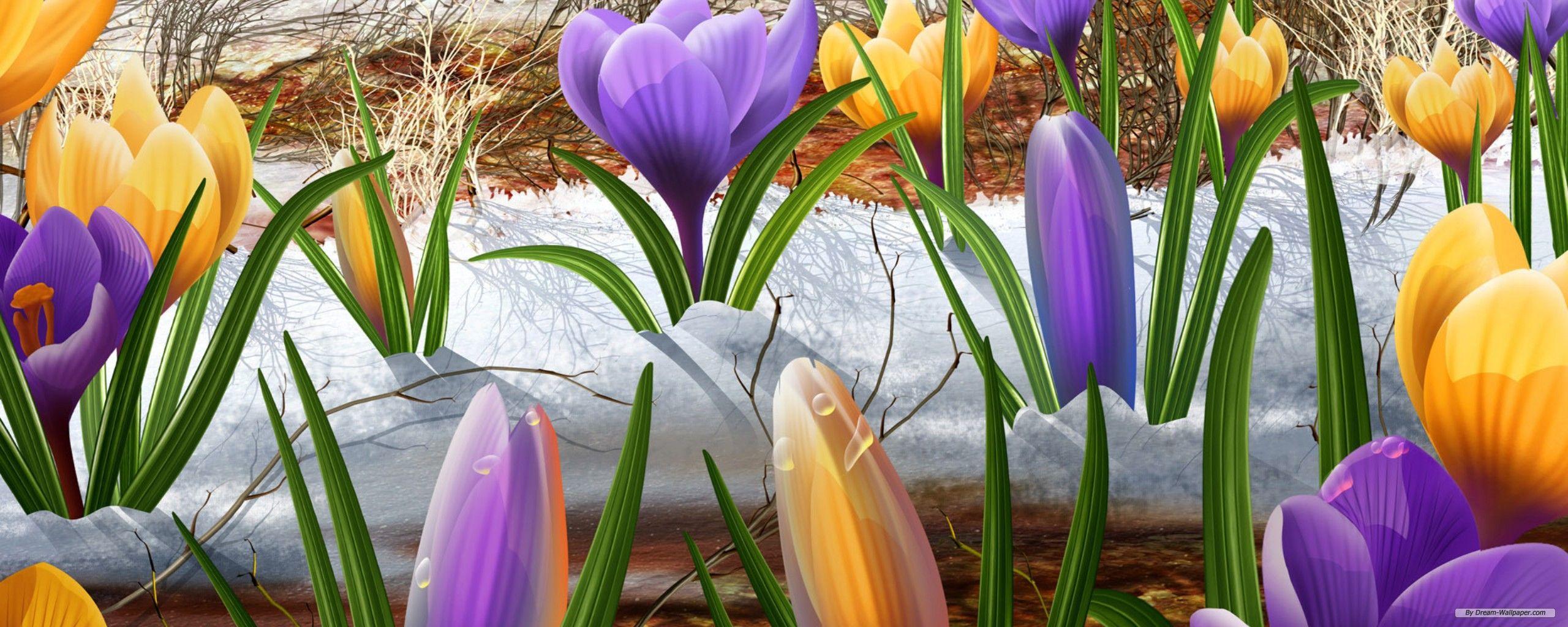 Spring Dual Screen Wallpapers - Top Free Spring Dual Screen Backgrounds ...