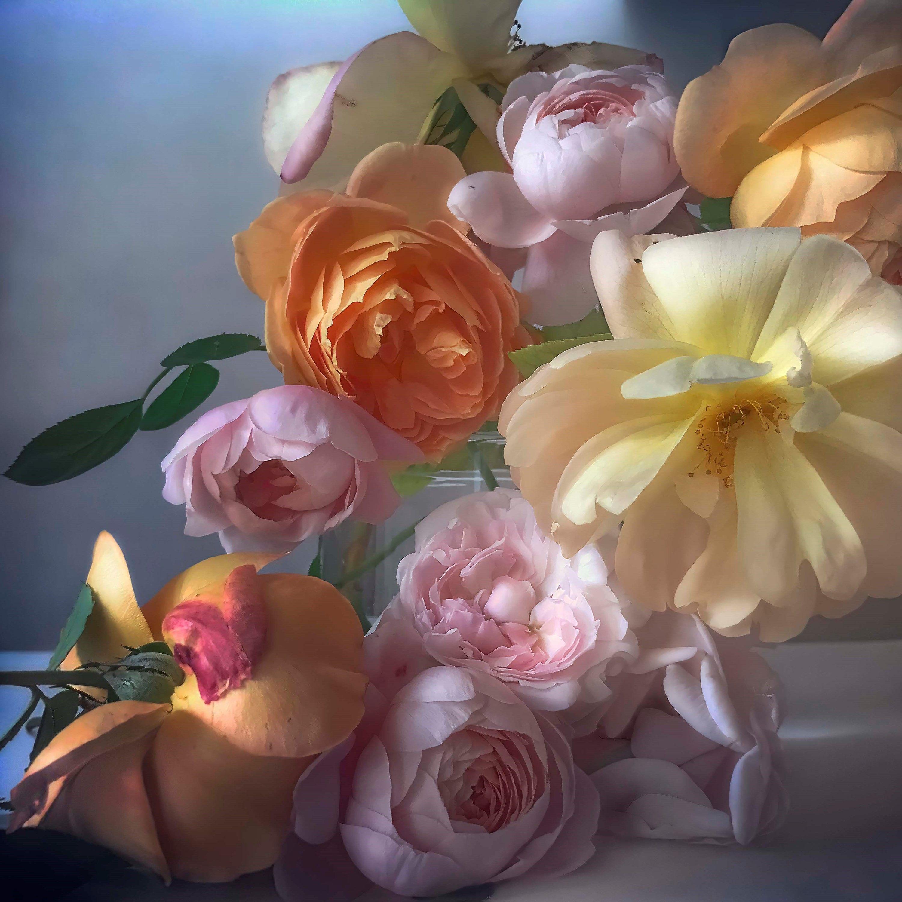 3000X3000 Flowers Wallpapers - Top Free 3000X3000 Flowers Backgrounds ...