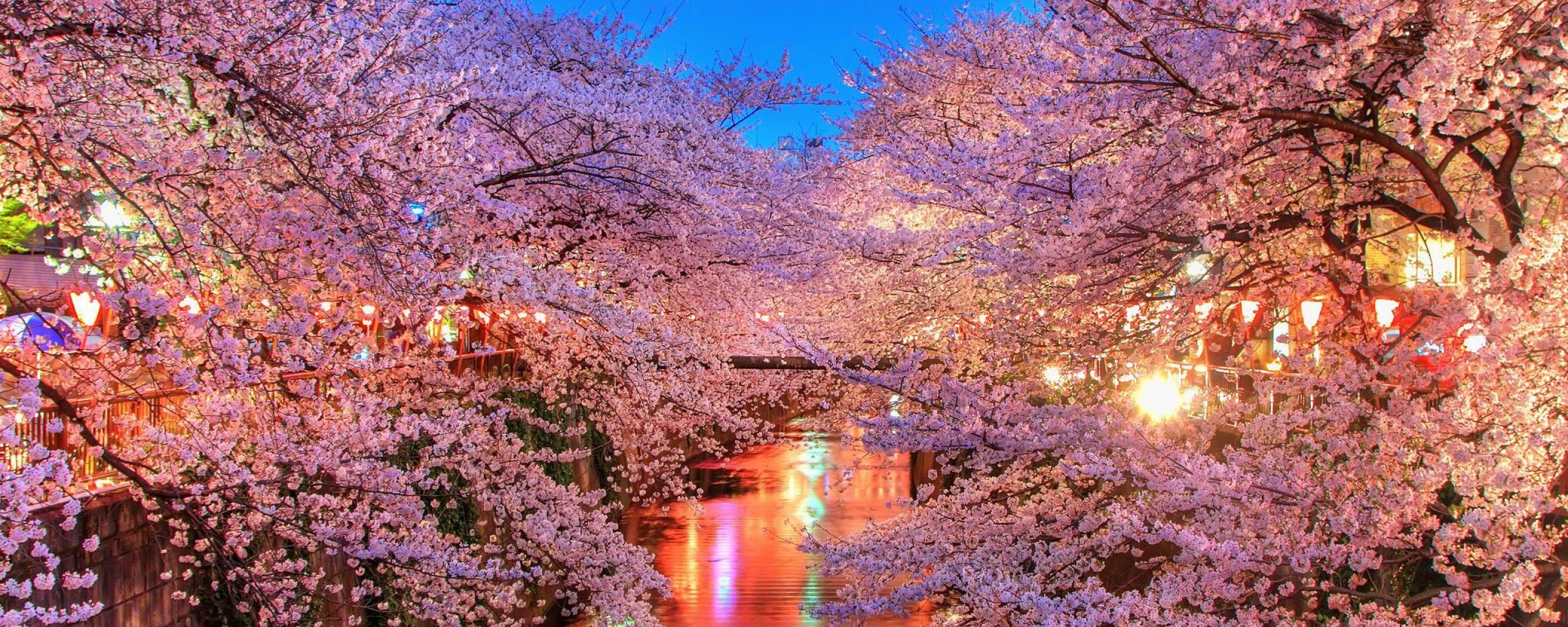 Spring Dual Screen Wallpapers - Top Free Spring Dual Screen Backgrounds ...