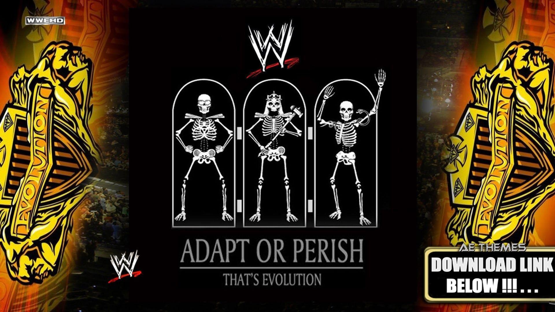 WWE Evolution Wallpapers - Top Free WWE Evolution Backgrounds ...