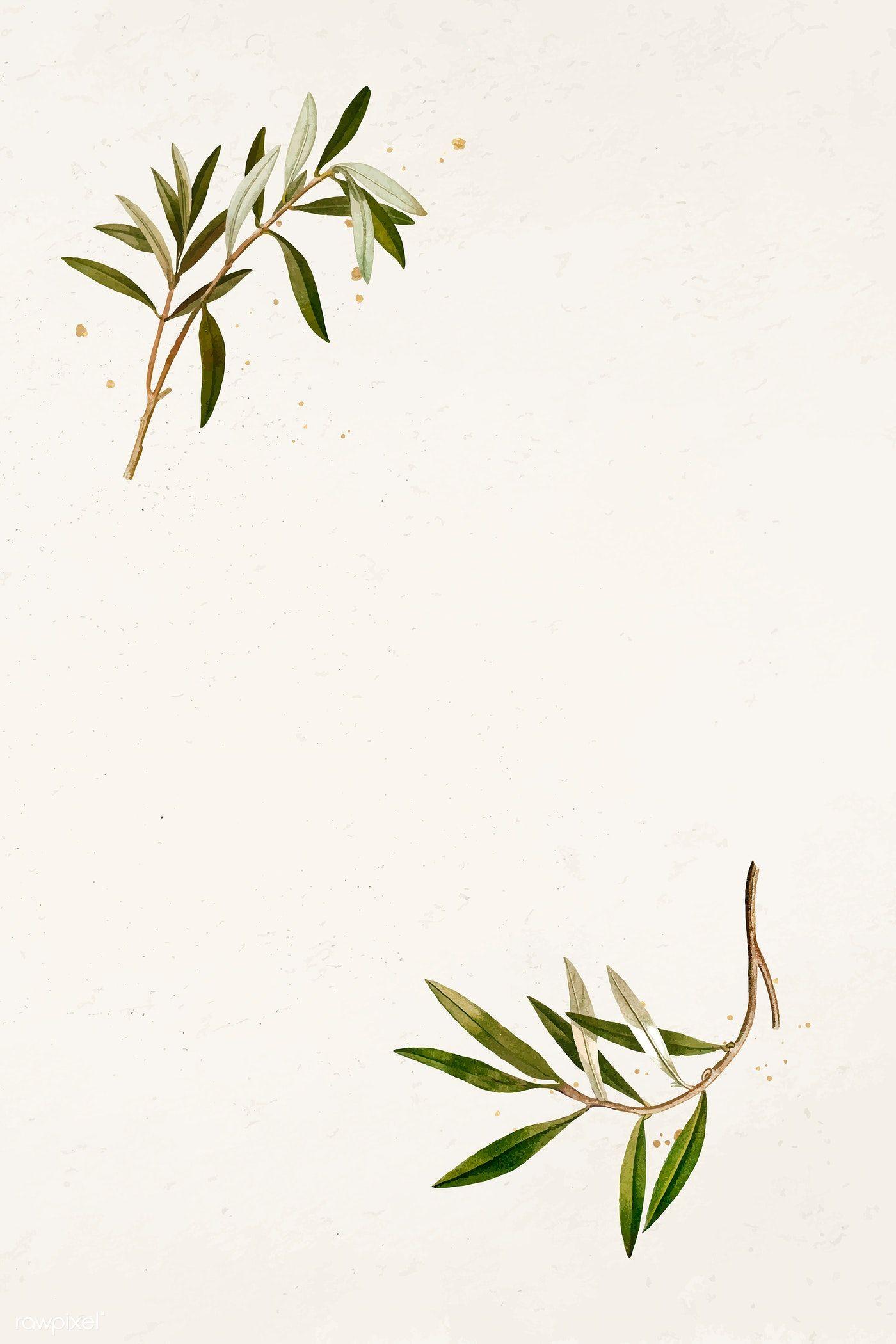 Minimalist Olive Wallpapers - Top Free Minimalist Olive Backgrounds ...