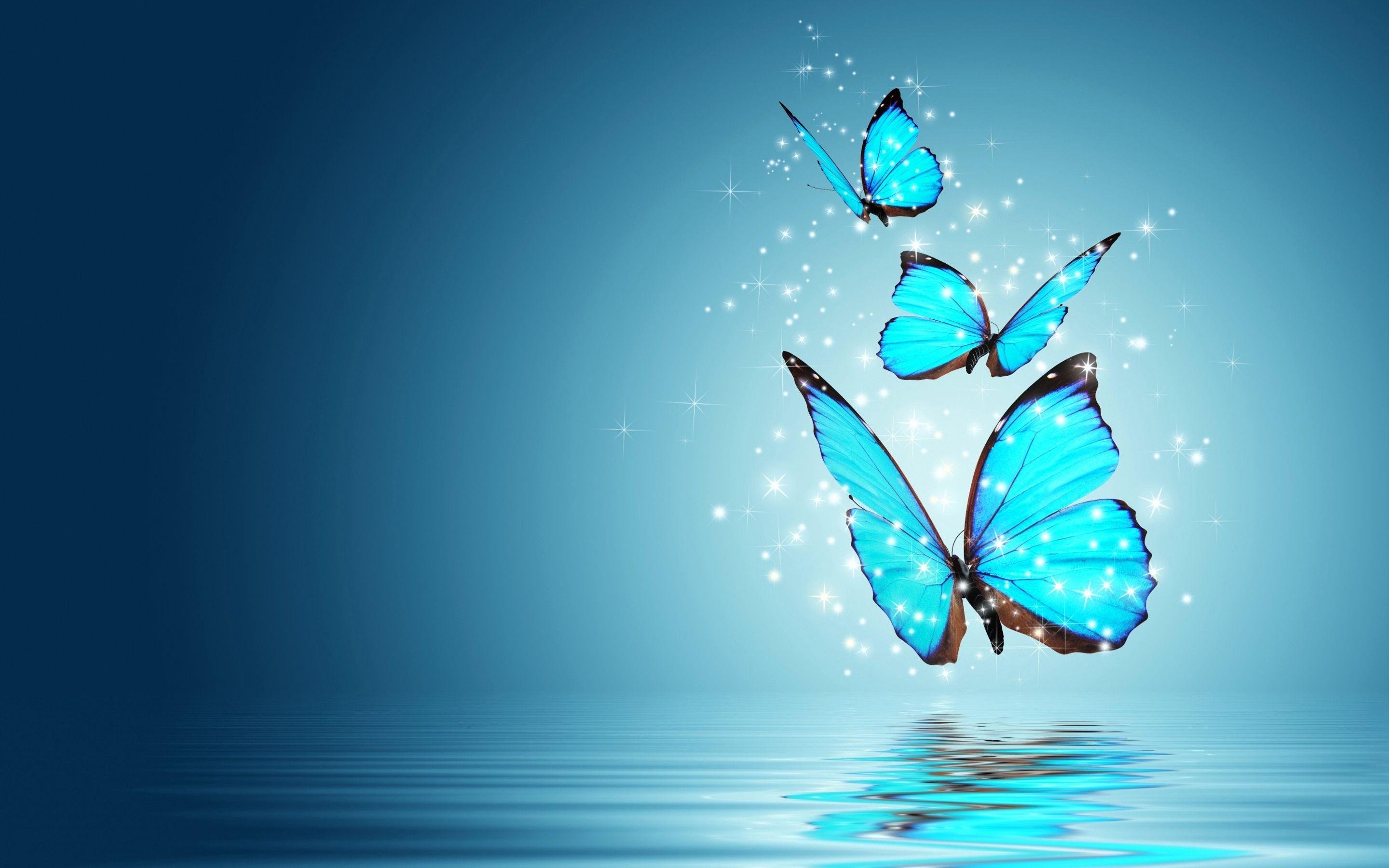 Amazing Nature Butterfly Wallpapers - Top Free Amazing Nature Butterfly ...