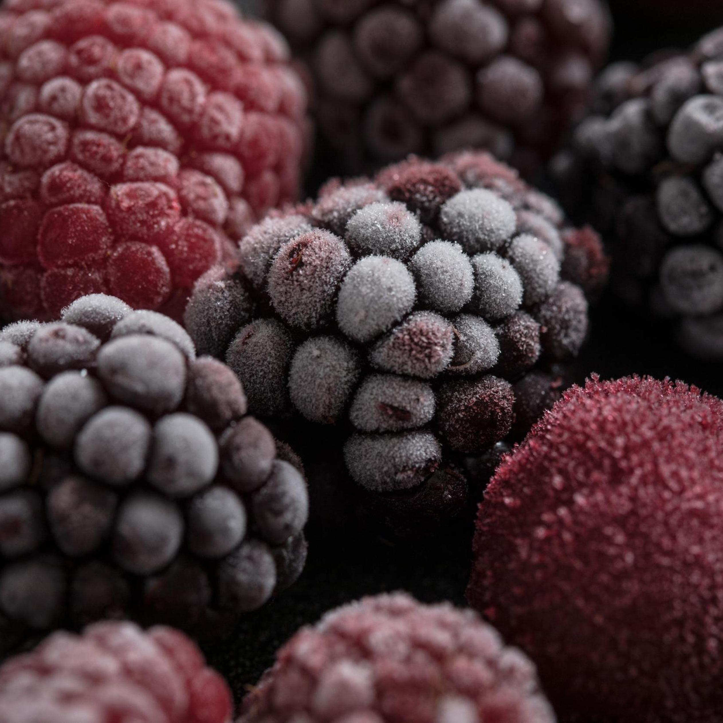 Frozen Food Wallpapers - Top Free Frozen Food Backgrounds - WallpaperAccess