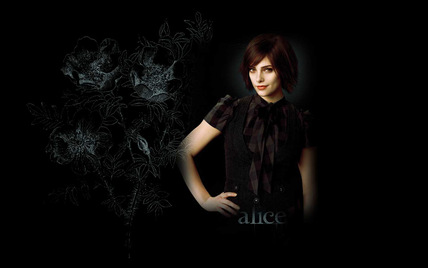 Alice Twilight Wallpapers - Top Free Alice Twilight Backgrounds - WallpaperAccess