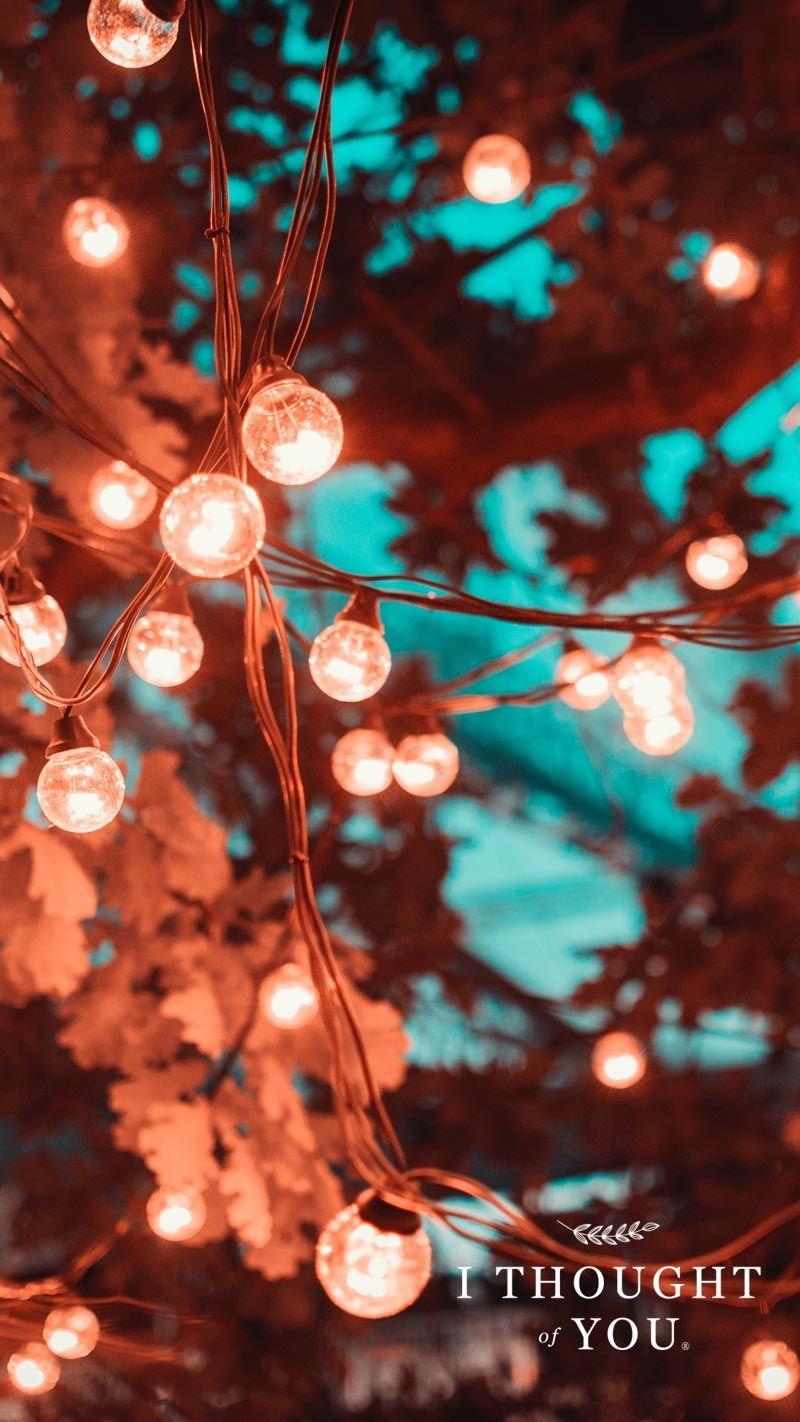 Fall Lights Wallpapers - Top Free Fall Lights Backgrounds - WallpaperAccess