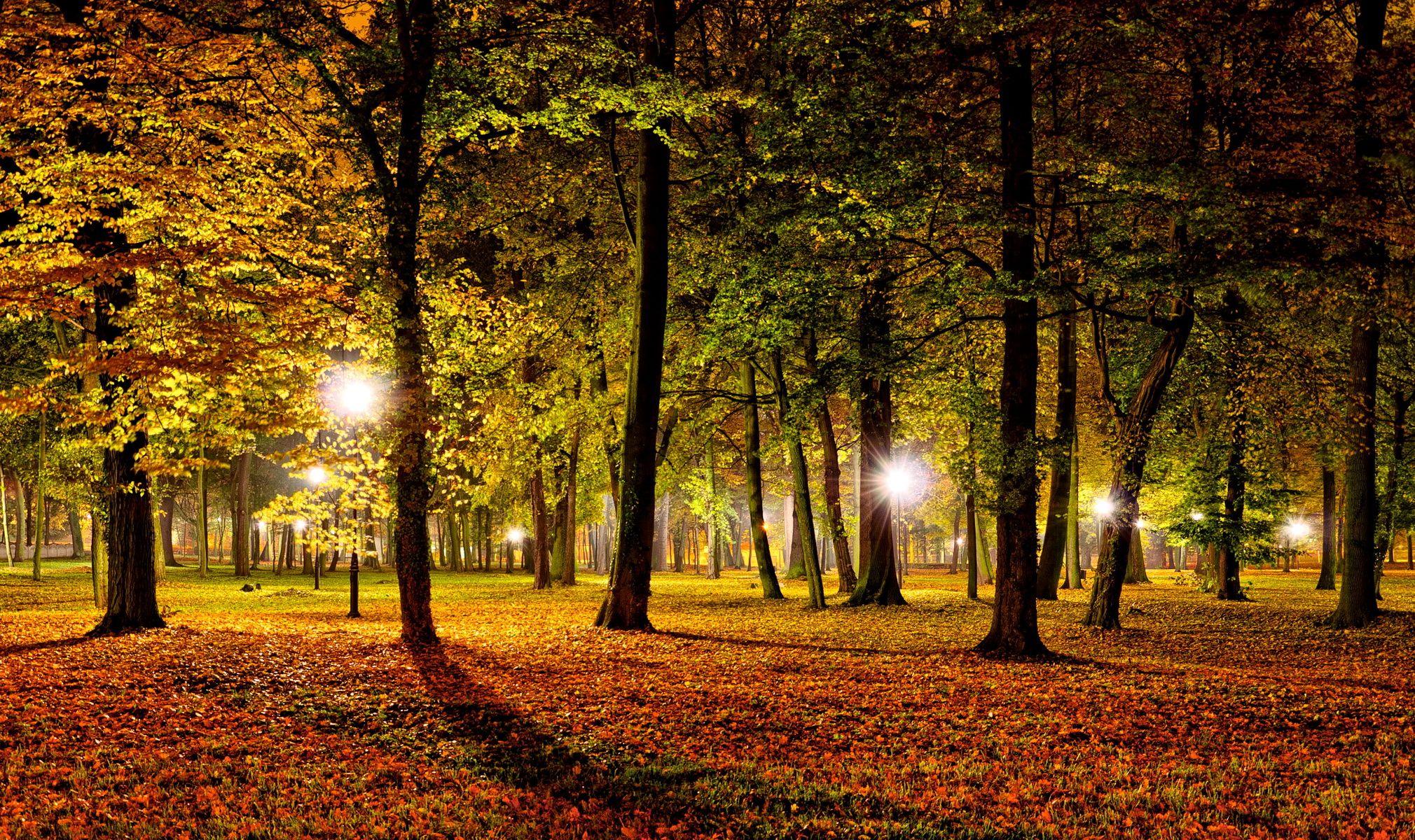 Fall Lights Wallpapers - Top Free Fall Lights Backgrounds - WallpaperAccess