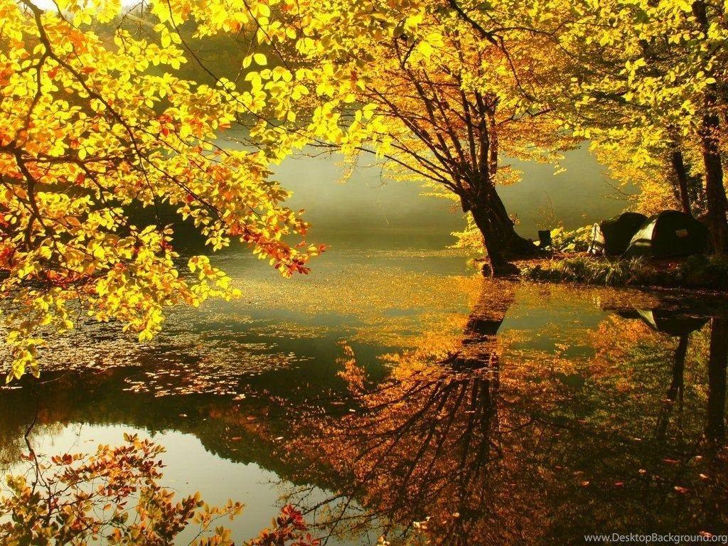 1024 X 768 Autumn Wallpapers - Top Free 1024 X 768 Autumn Backgrounds ...