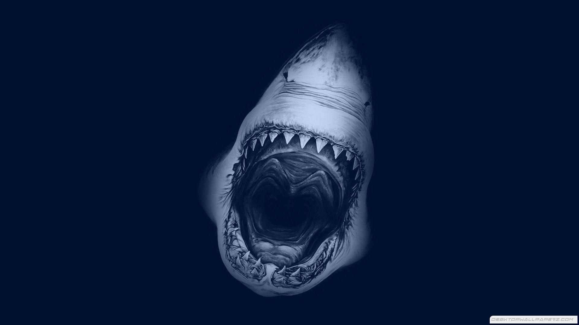 Scary Ocean Wallpapers - Top Free Scary Ocean Backgrounds - WallpaperAccess