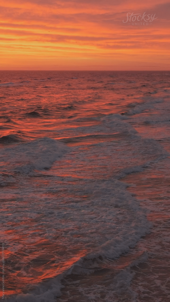 Cute Ocean Wallpapers - Top Free Cute Ocean Backgrounds - WallpaperAccess