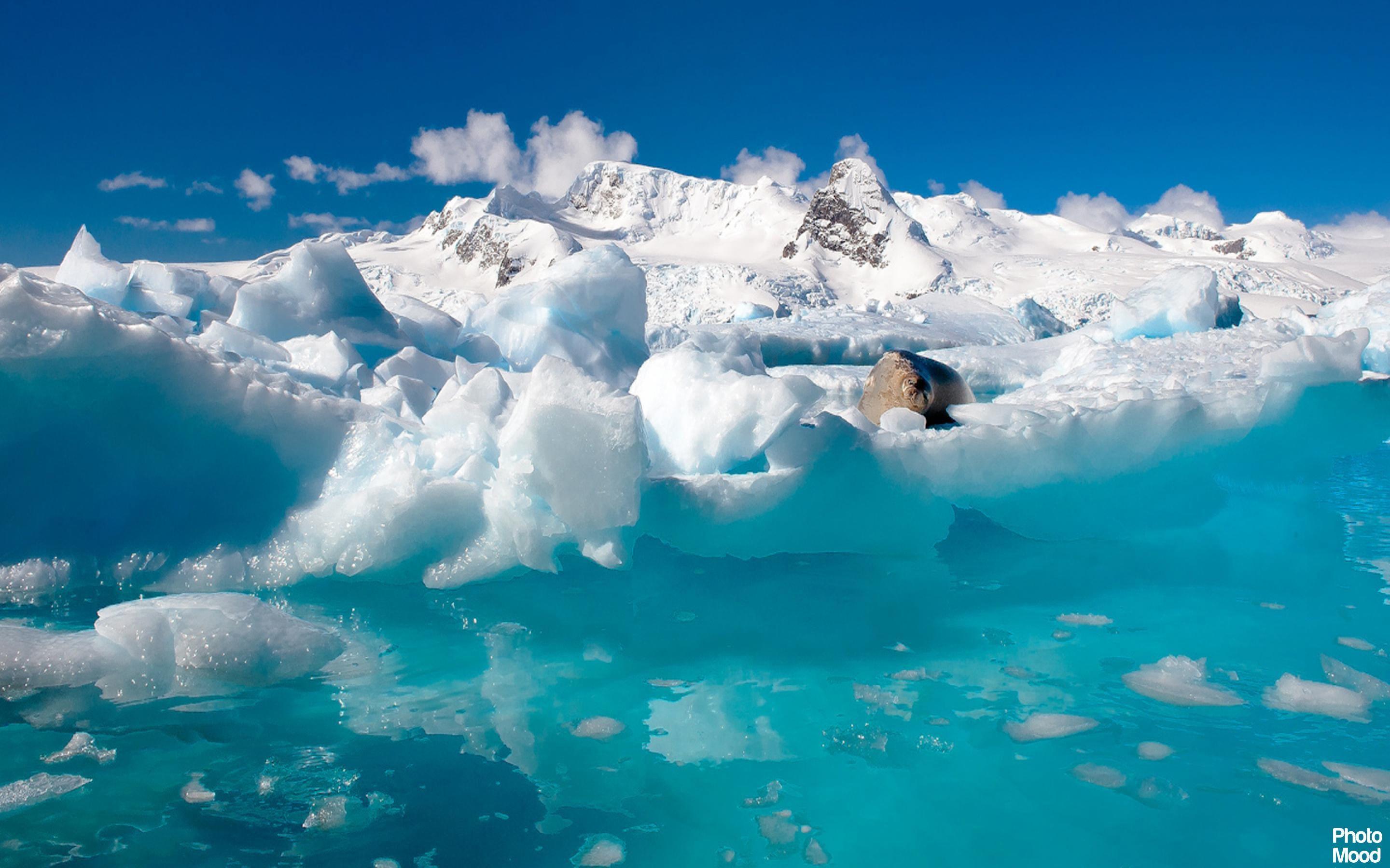 Snow Ocean Wallpapers - Top Free Snow Ocean Backgrounds - WallpaperAccess