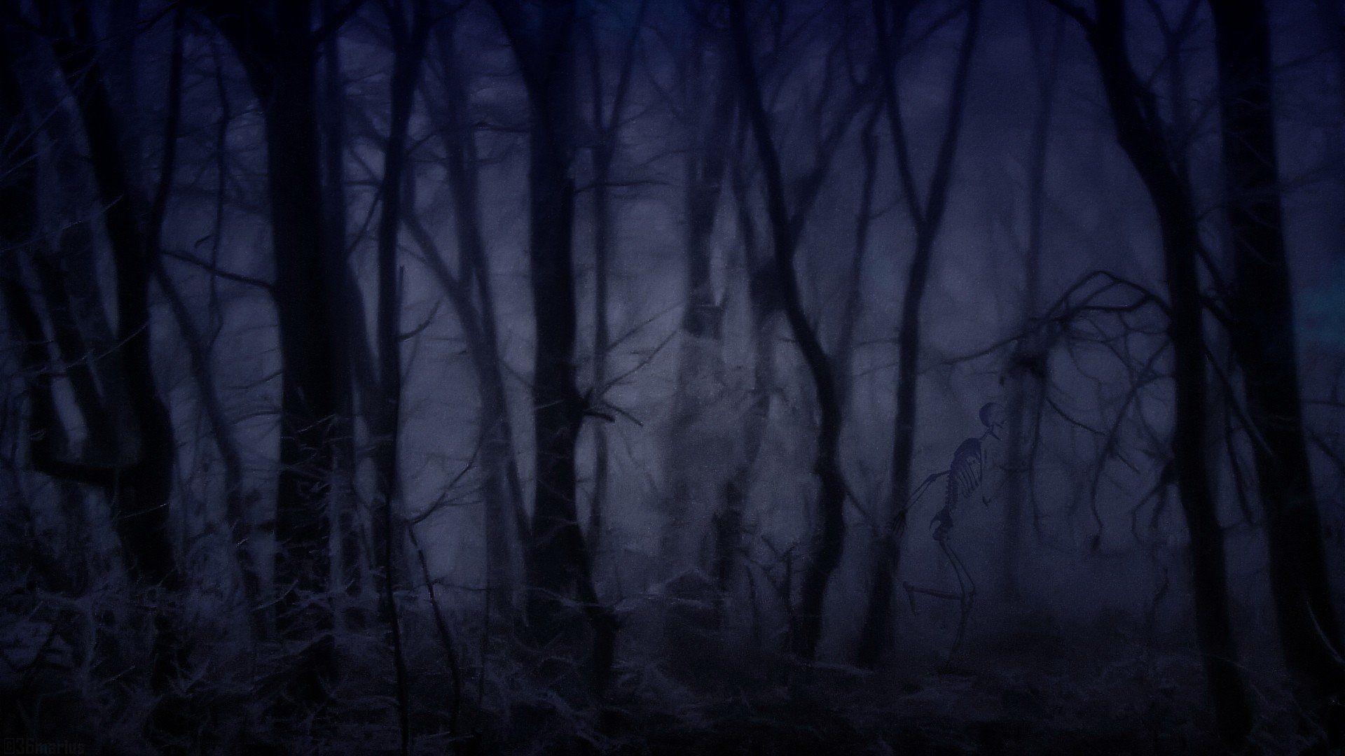 Dark Misty Forest Wallpapers - Top Free Dark Misty Forest Backgrounds ...