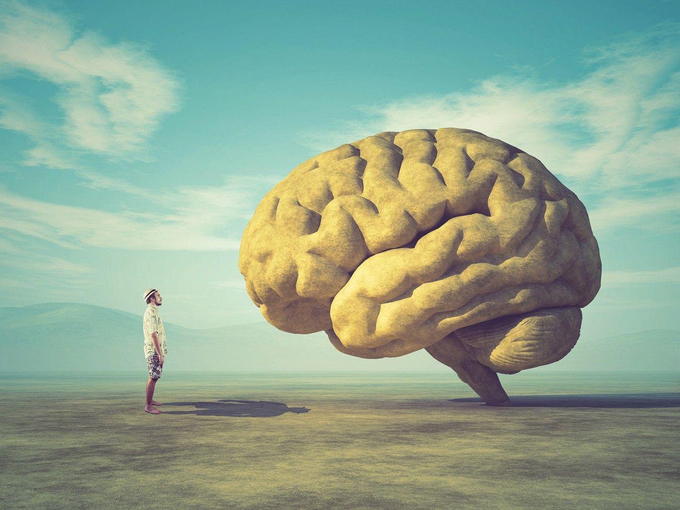 Creative Brain Wallpapers - Top Free Creative Brain Backgrounds ...