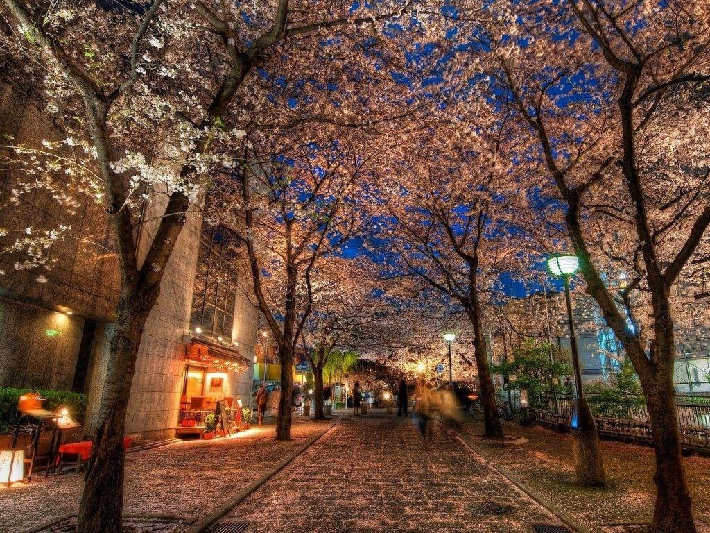 Alley Desktop Wallpapers - Top Free Alley Desktop Backgrounds ...