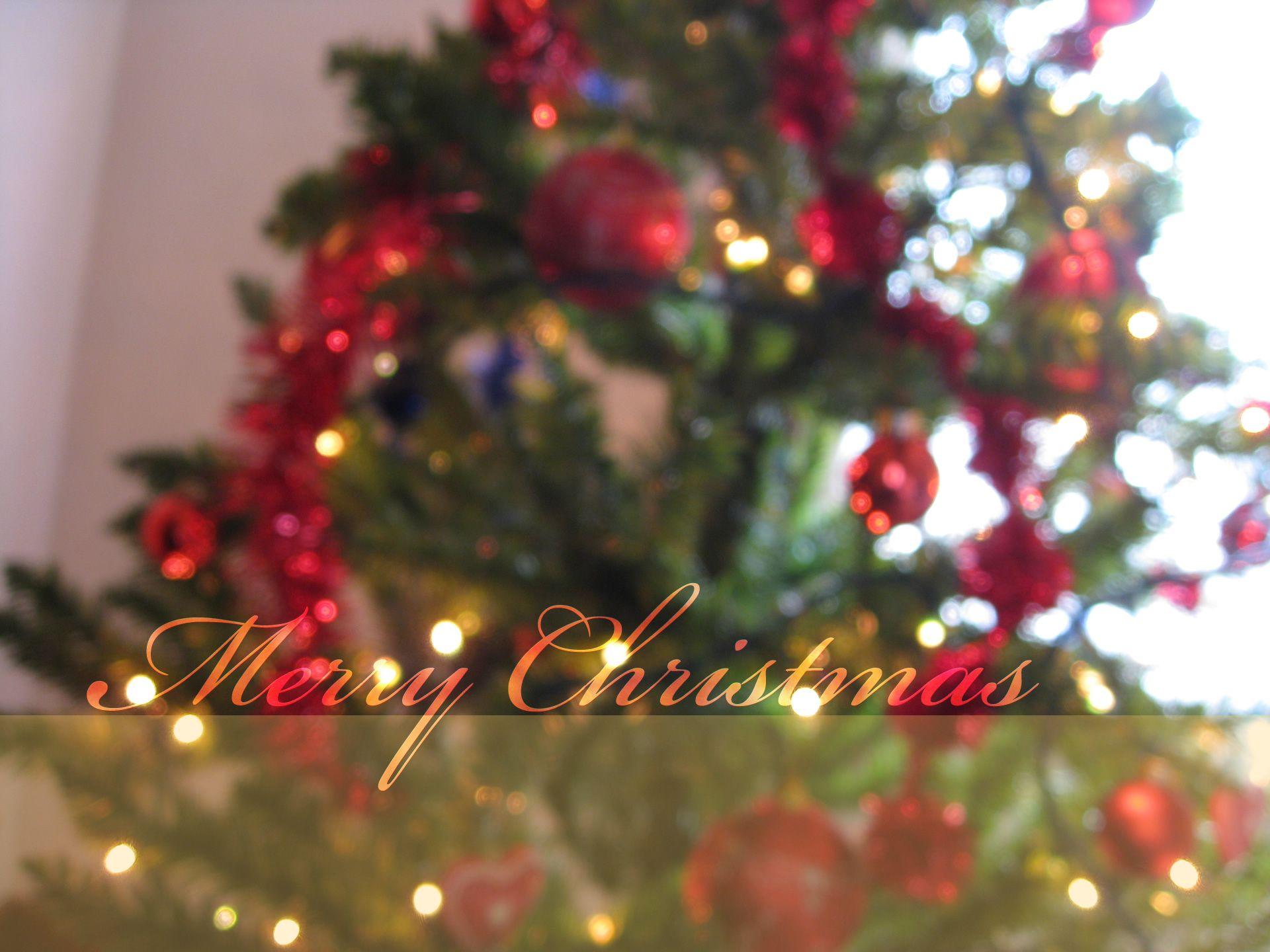 Merry Christmas Tree Wallpapers - Top Free Merry Christmas Tree ...