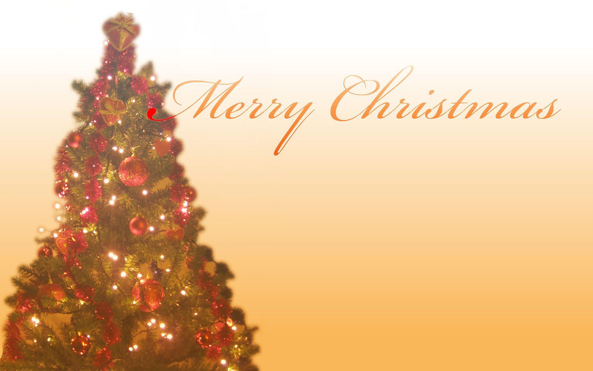 Merry Christmas Tree Wallpapers - Top Free Merry Christmas Tree ...
