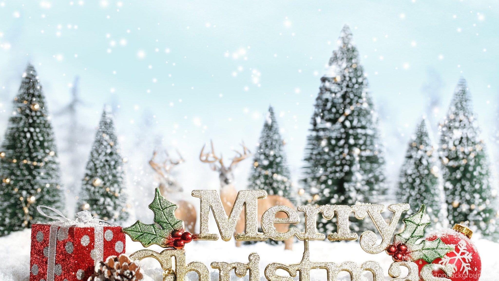 Merry Christmas Tree Wallpapers - Top Free Merry Christmas Tree ...