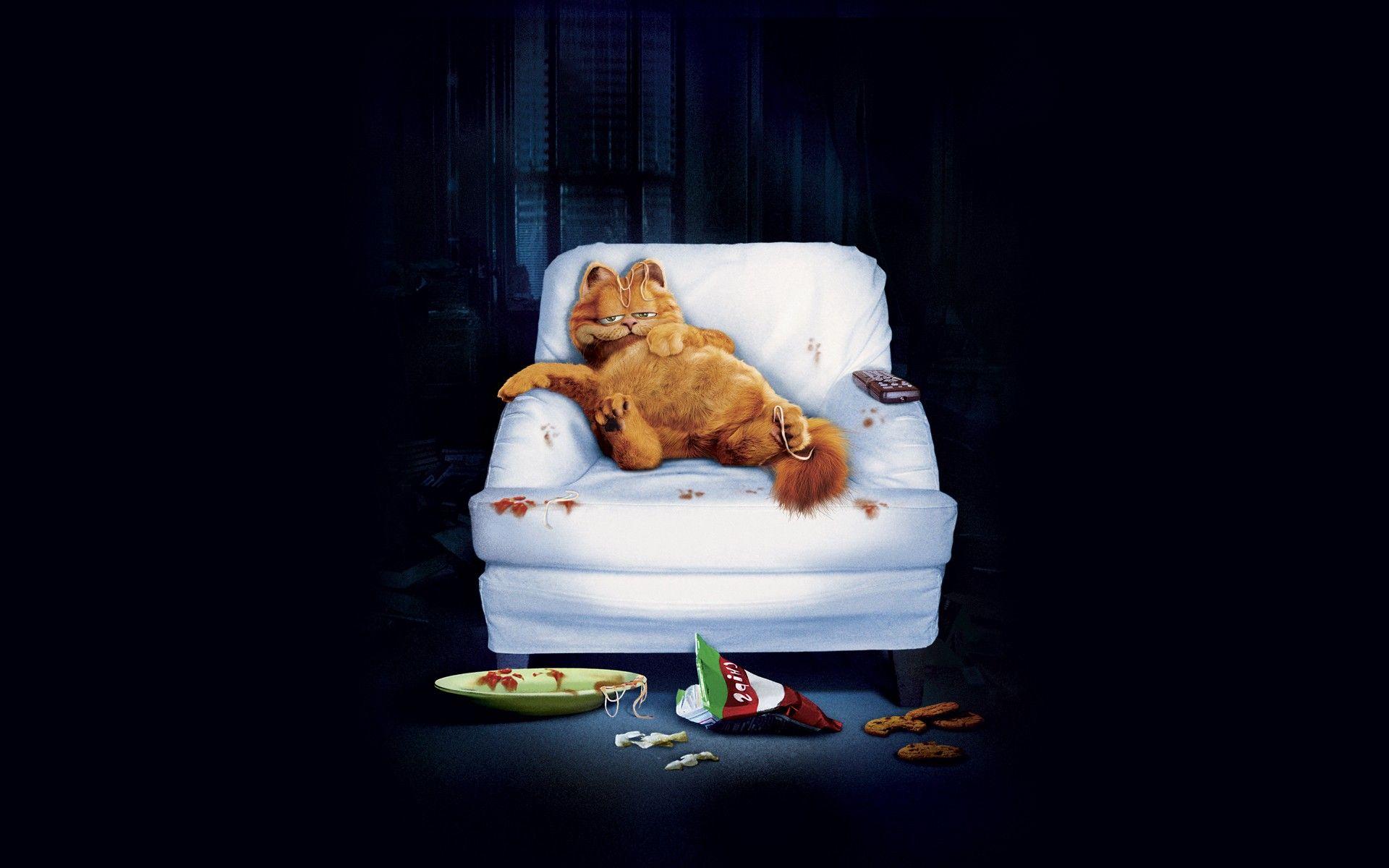 Lazy Cat Wallpapers - Top Free Lazy Cat Backgrounds - WallpaperAccess