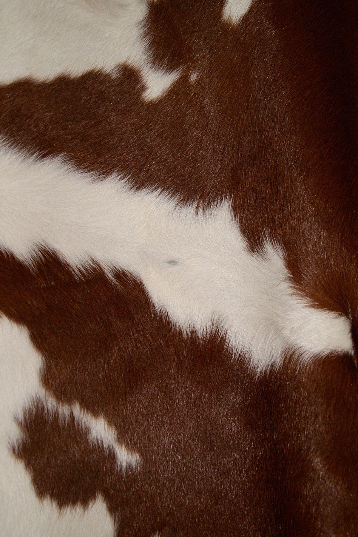 Cowhide Wallpapers - Top Free Cowhide Backgrounds - WallpaperAccess