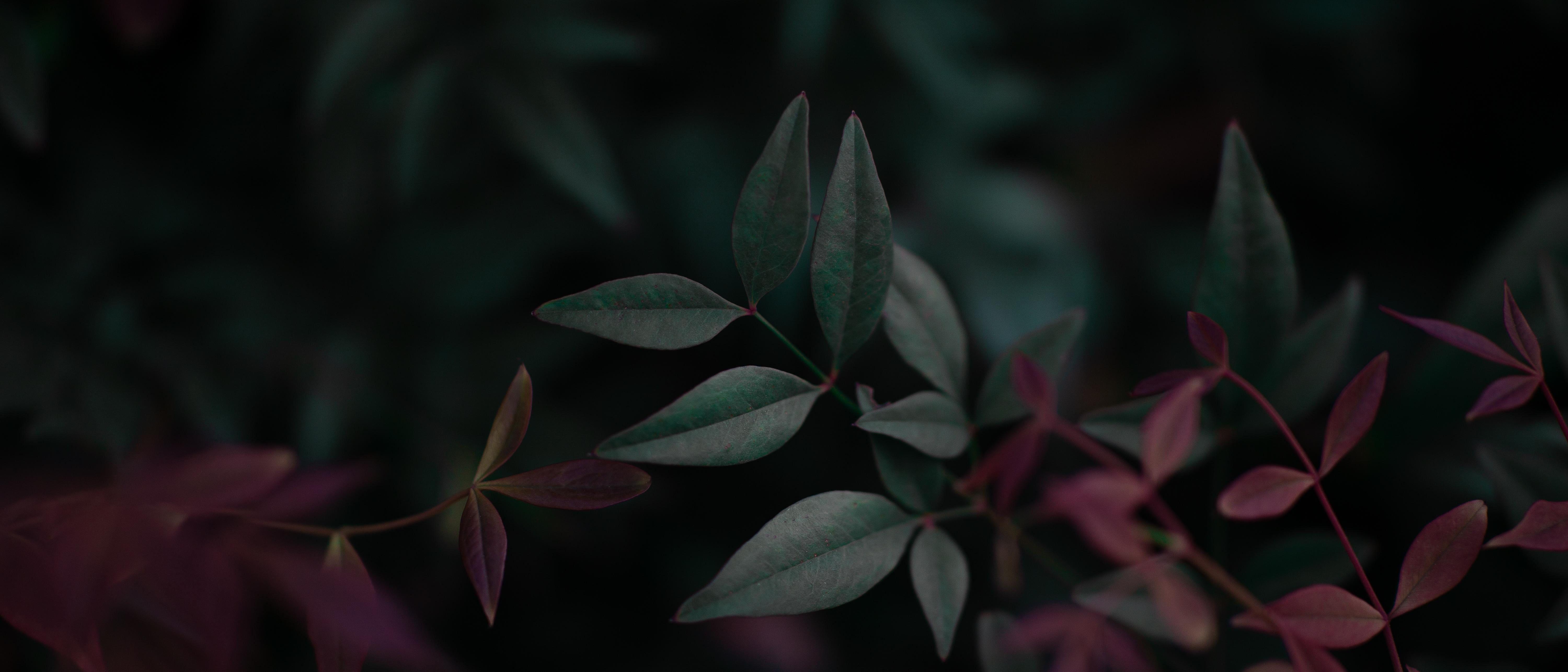 Ultrawide 5k Wallpapers - Top Free Ultrawide 5k Backgrounds ...