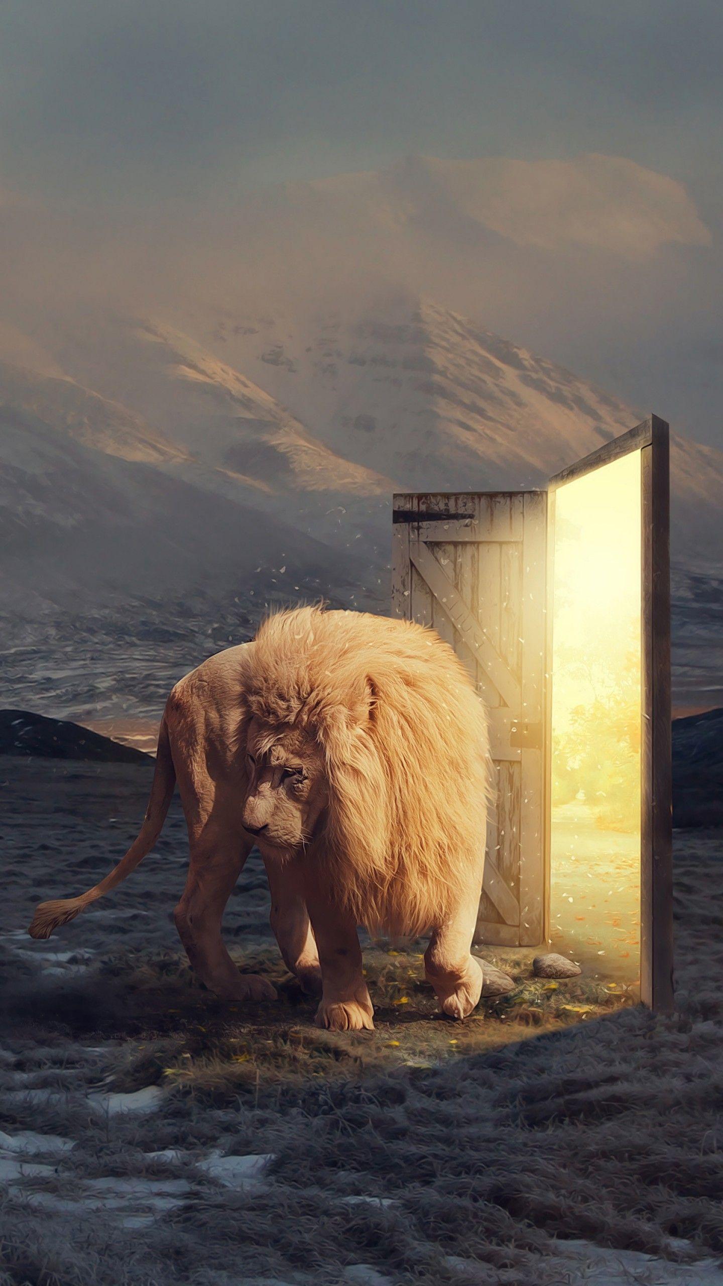 Narnia HD Wallpapers - Top Free Narnia HD Backgrounds - WallpaperAccess