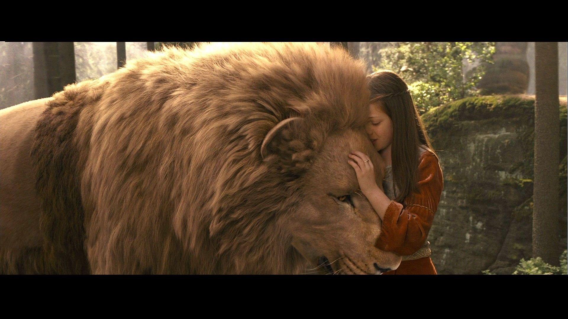 Narnia HD Wallpapers - Top Free Narnia HD Backgrounds - WallpaperAccess