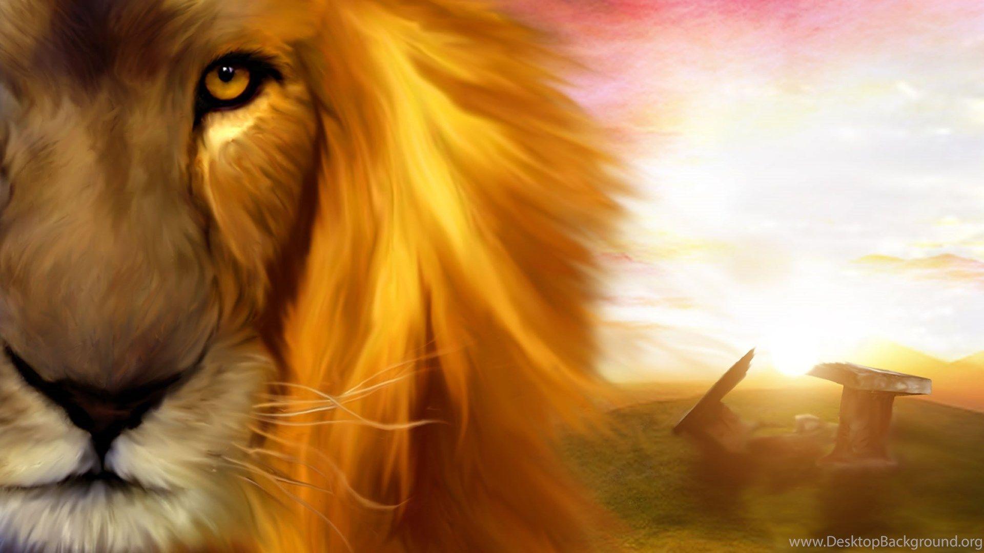 Narnia HD Wallpapers - Top Free Narnia HD Backgrounds - WallpaperAccess