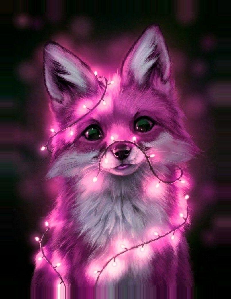 Cute Fox and Wolf Wallpapers - Top Free Cute Fox and Wolf Backgrounds ...
