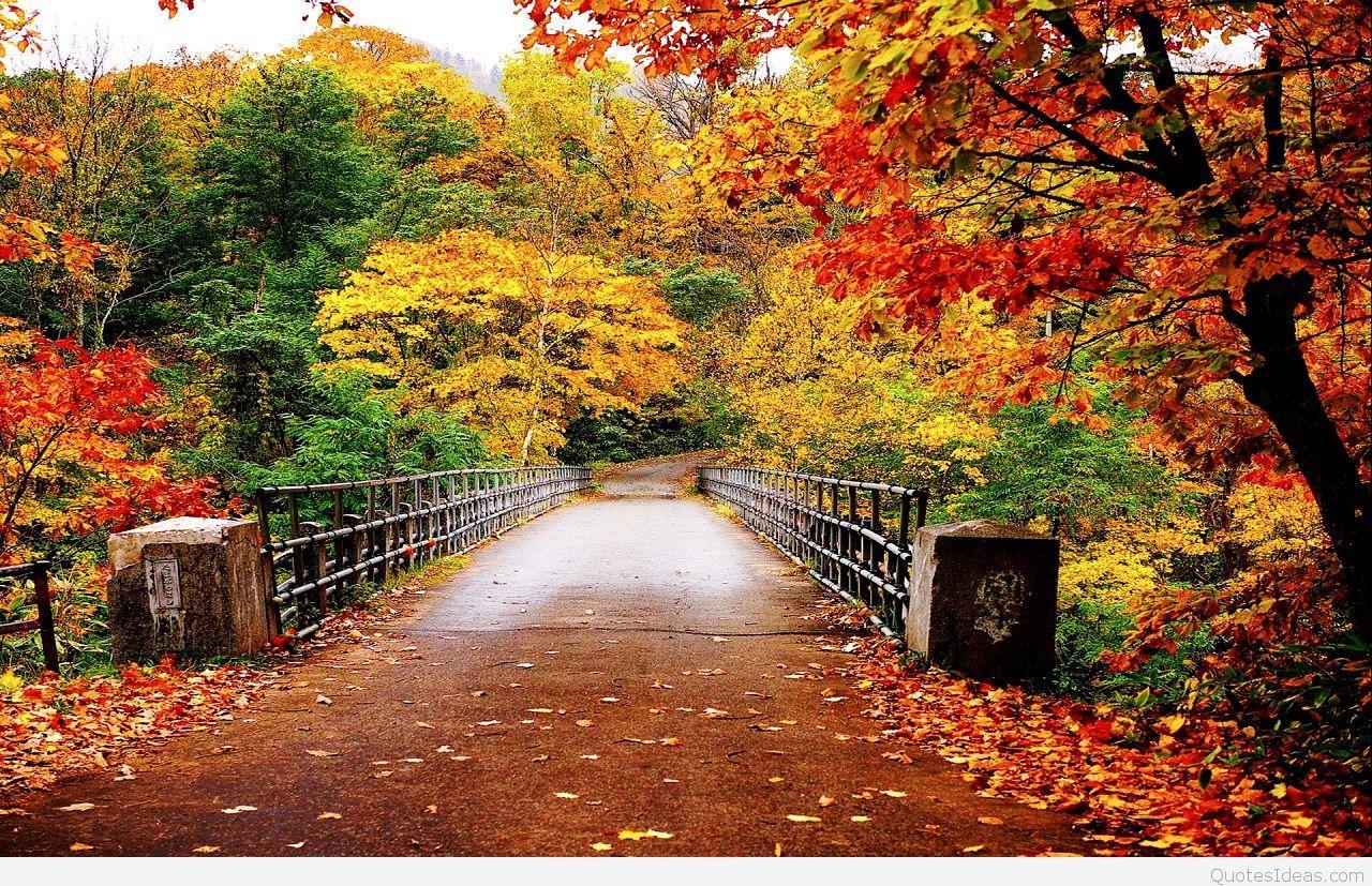 Welcome Autumn Wallpapers - Top Free Welcome Autumn Backgrounds ...